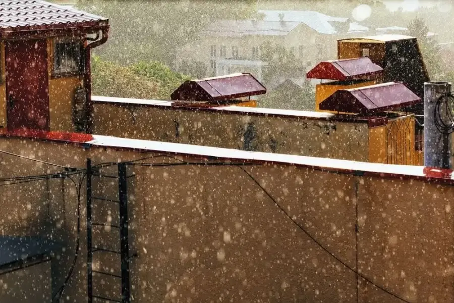 Best Monsoon Proof Wall Paints For Damp-Free Homes